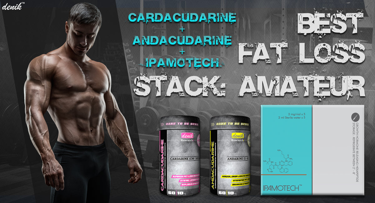 BEST AMATEUR LEAN GAINING CYCLE FOR FITNESS MODEL LIKE PHYSIQUE – onestop.fit